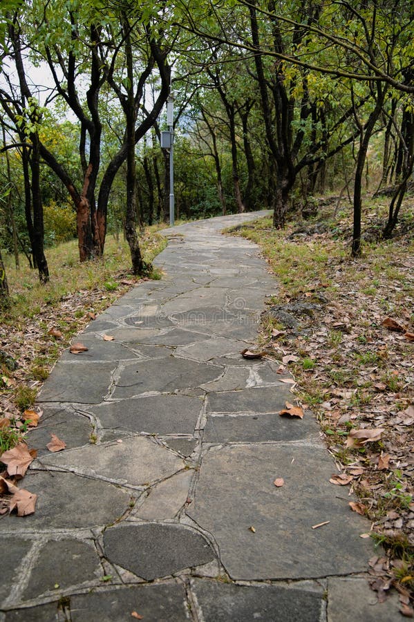 Garden path with trees stock image. Image of rock, countryside - 298537089