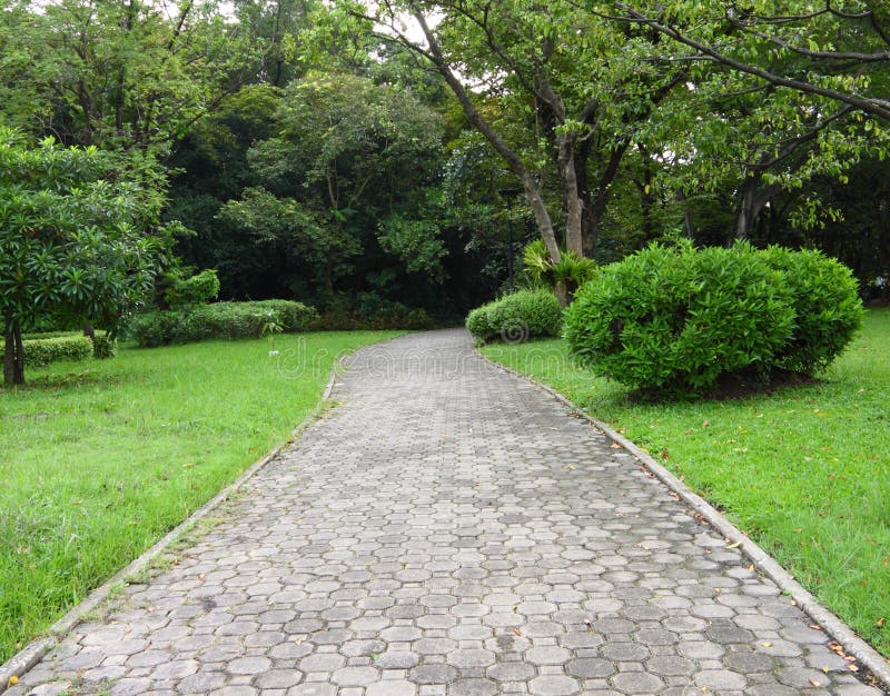 Garden Path Walk in Public Park Stock Image - Image of path, outdoor ...