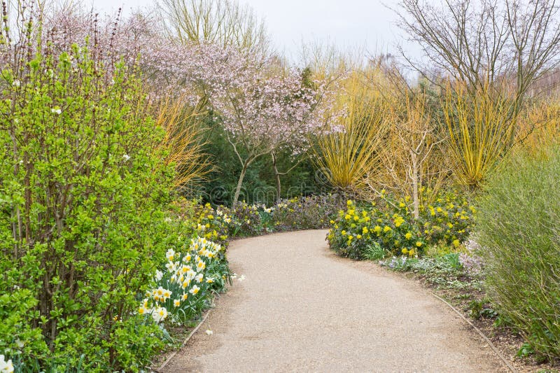 Garden path stock photo. Image of route, neat, daffodils - 45236034