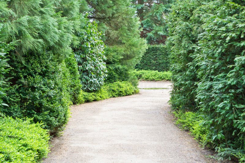 Garden path stock photo. Image of route, garden, tranquility - 45238352