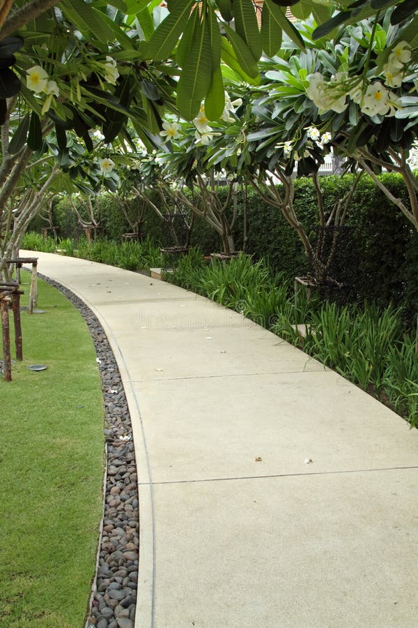 Japanese Garden walkway stock photo. Image of footpath - 6443528