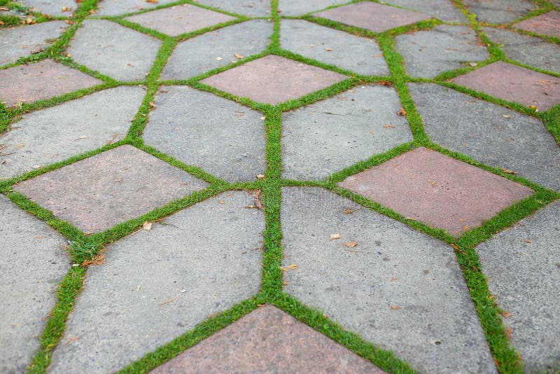 A Garden Pathway Features Hexagonal Paving Stones Bordered by Vibrant ...