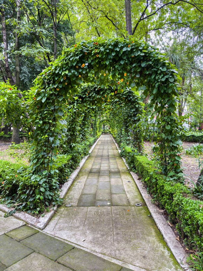 Garden Pathway with Vine-Covered Arches Stock Image - Image of tree ...