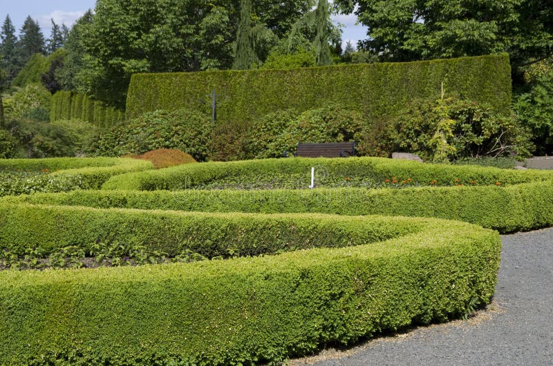 Garden pattern design stock photo. Image of pattern, patterns - 72381052