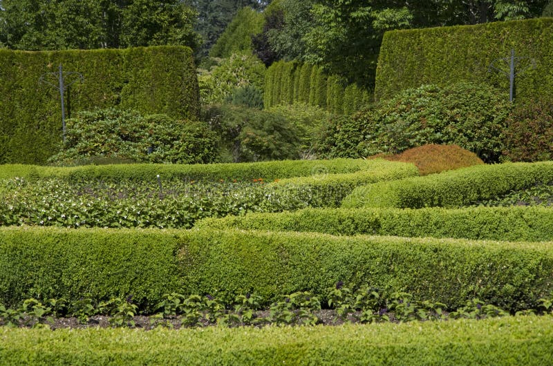 Garden pattern design stock photo. Image of agriculture - 72381092