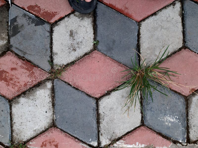 Garden Paved Path Floor Slabs Interlock Half Clean and Dirty with Some ...