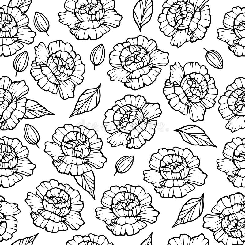 Garden Peony Flower Pattern, Outline Style Stock Vector - Illustration ...