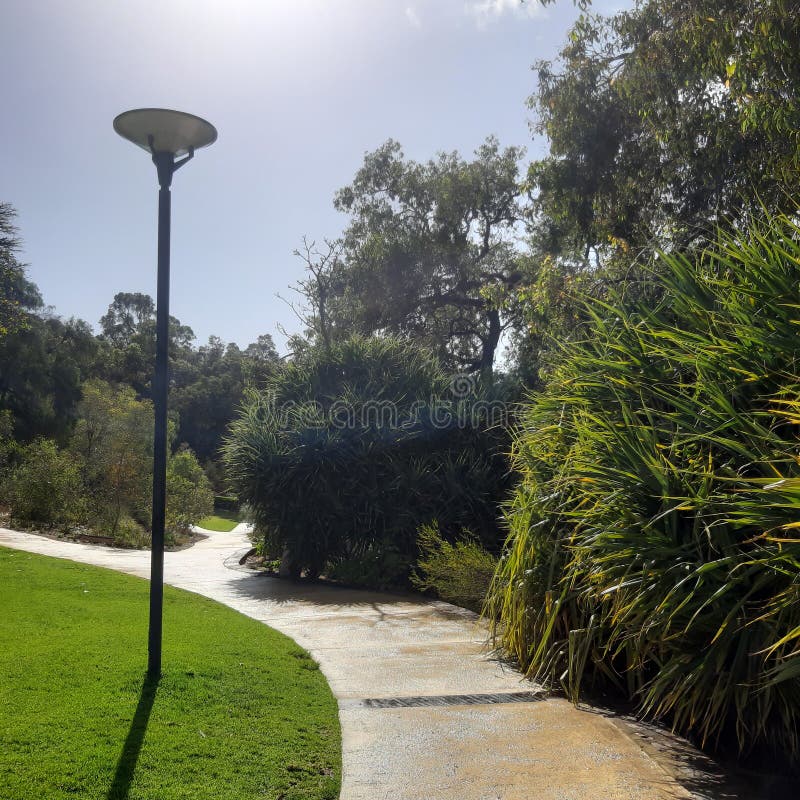 Garden in Perth stock photo. Image of green, autumn - 206809212