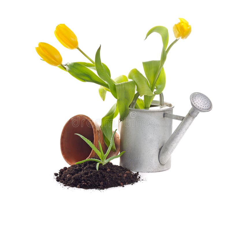 Blue Chalk stock photo. Image of photograph, macro, snapped - 6641584