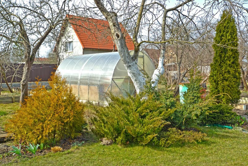 Garden Plot with Conifers in the Territory. Spring Stock Photo - Image ...