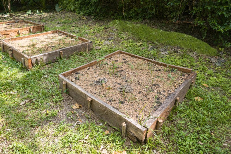 A Garden Plot Ready To Be Planted in Spring Stock Photo - Image of ...