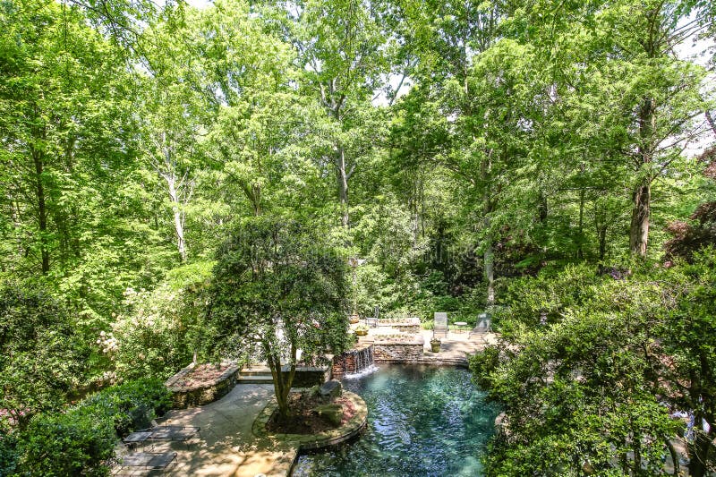 Garden Pond from Above stock image. Image of botanical - 59211271
