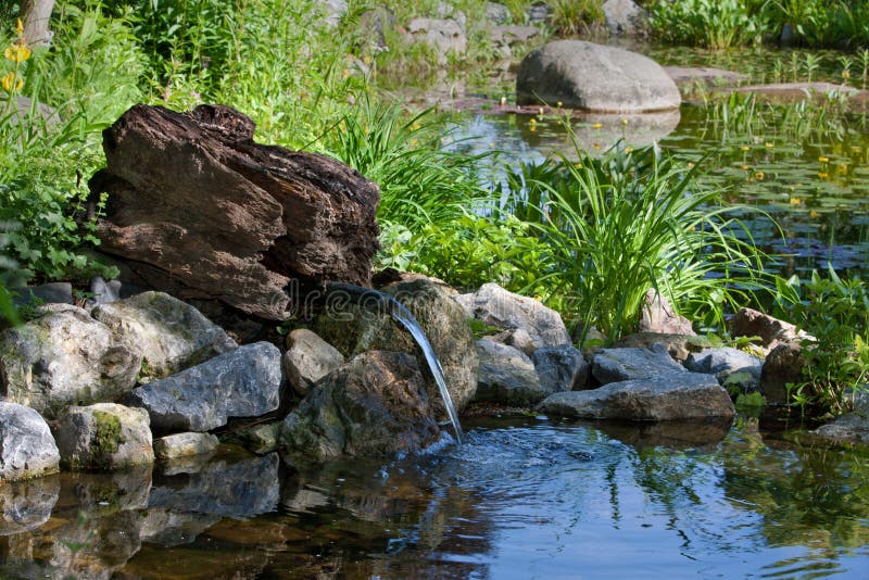 Garden-pond stock photo. Image of decoration, plant, wellbeing - 40085608
