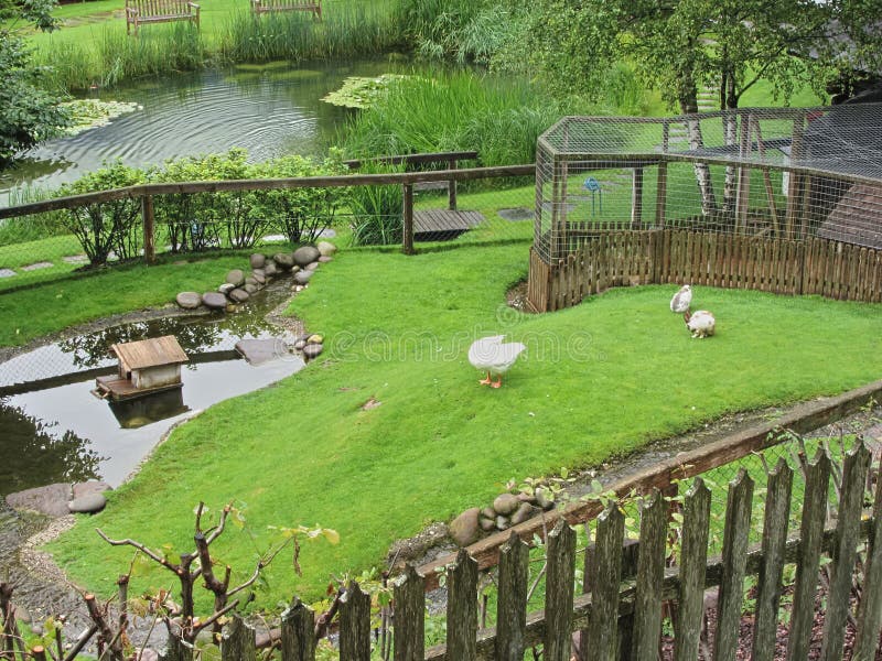 Garden with pond stock photo. Image of yard, landscape - 50705640