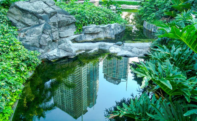 Garden pond stock image. Image of garden, mall, reflection - 75274145