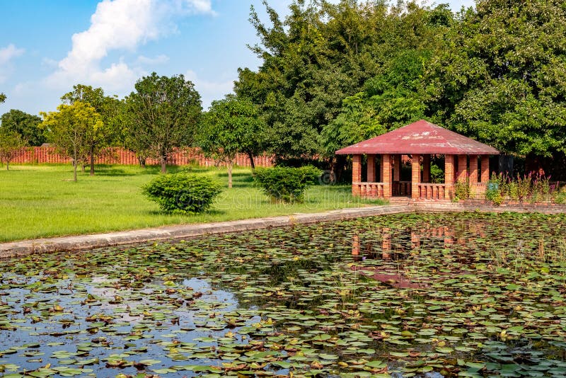 Garden with pond and shade stock image. Image of decoration - 161356037