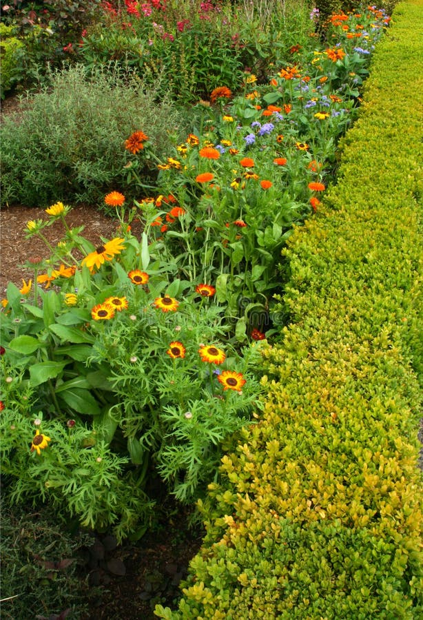 Garden portraits stock photo. Image of colorful, garden - 6515594