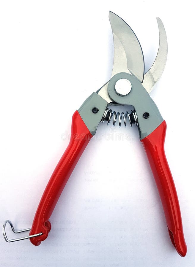 Garden pruner stock image. Image of branch, plastic - 138387501