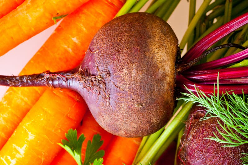 Garden Radish, Carrots and Beet. Stock Photo - Image of radish, root ...