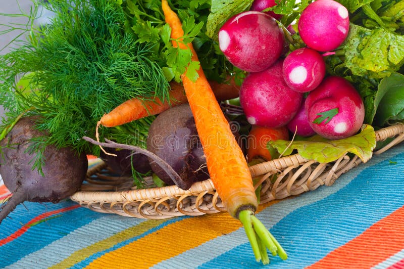 Garden Radish, Carrots and Beet. Stock Photo - Image of pure, crop ...