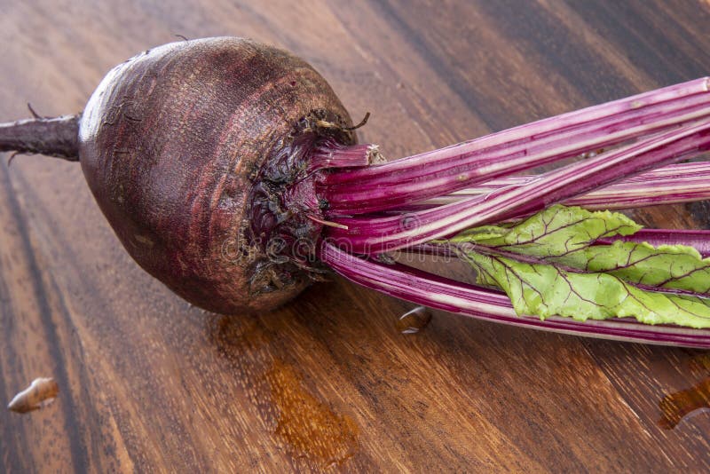 Garden raised beets stock image. Image of leaves, farmers - 188098199