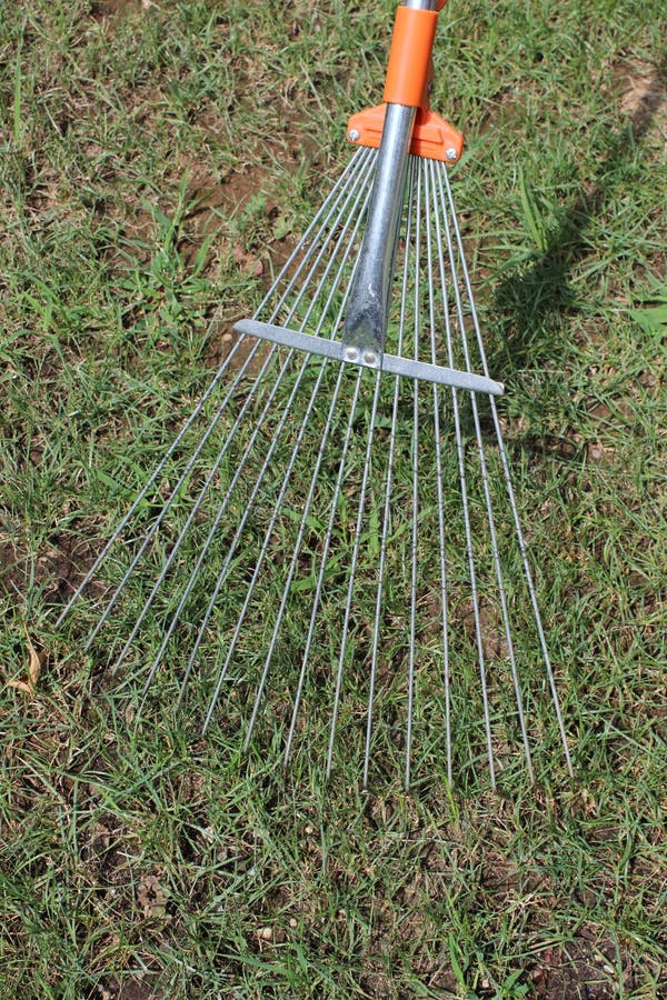 Garden rake stock photo. Image of lawn, courtyard, pool - 25935084