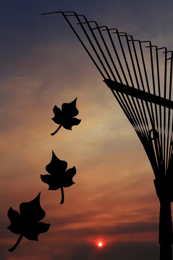 Garden Rake Silhouette in the Sunset Stock Illustration - Illustration ...