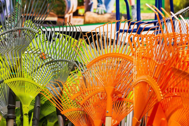 Garden Rakes Standing in Store Stock Image - Image of garden, modern ...