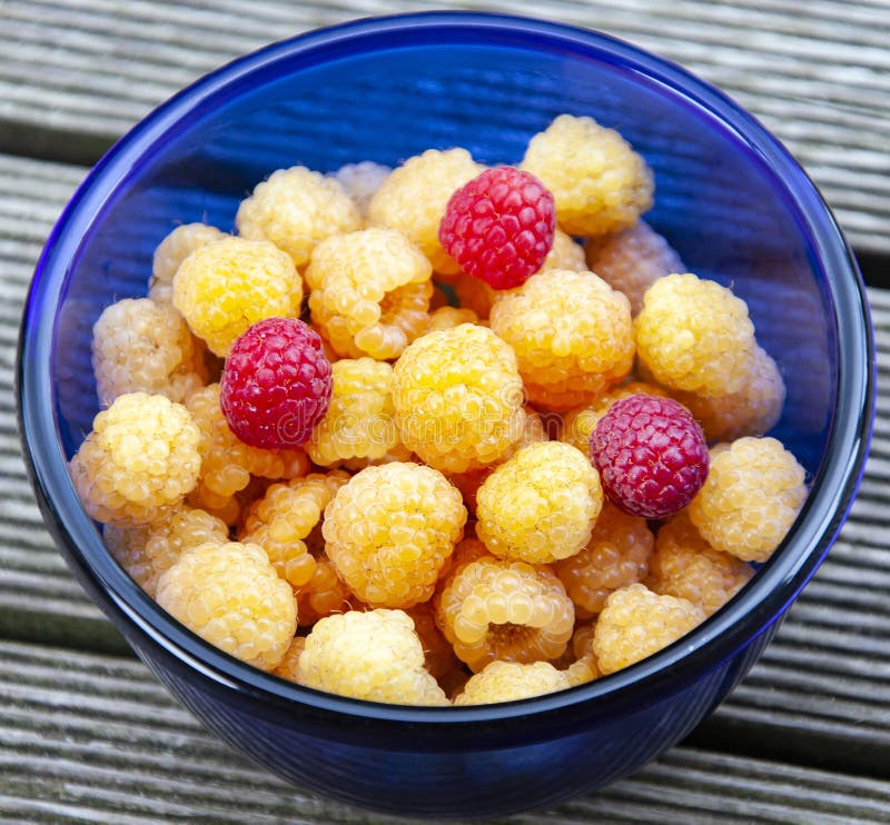 Garden Raspberries of Yellow and Red Varieties in a Blue Glass ...