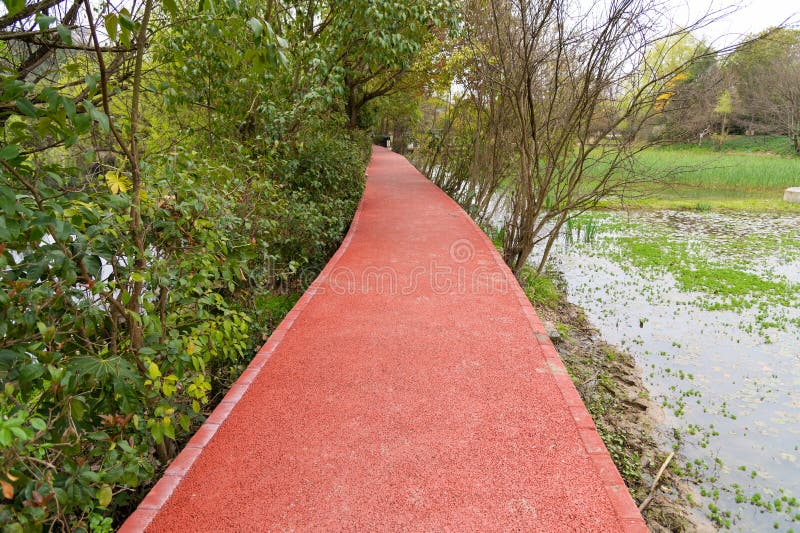 Garden red path stock photo. Image of trees, growth - 311643148