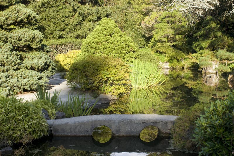 Garden with reflection stock photo. Image of japanese - 26563482