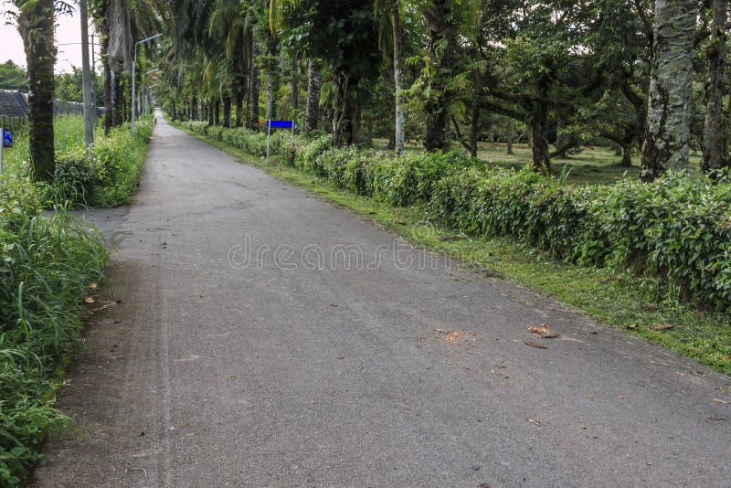 Garden road stock image. Image of blue, outdoors, lawn - 59150627