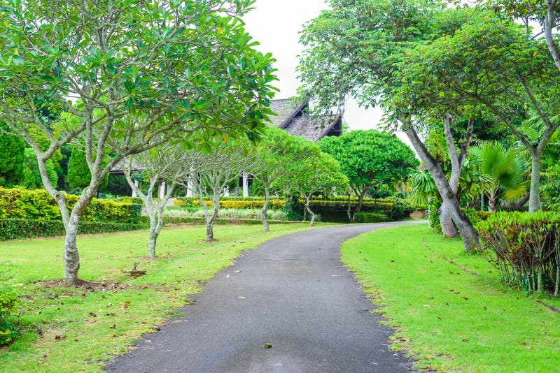 Garden and Road in the Park Stock Image - Image of green, culture: 60720507