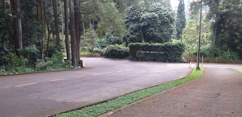 Garden Road Sidewalk at the Puncak Mountain Bogor West Java Indonesia ...