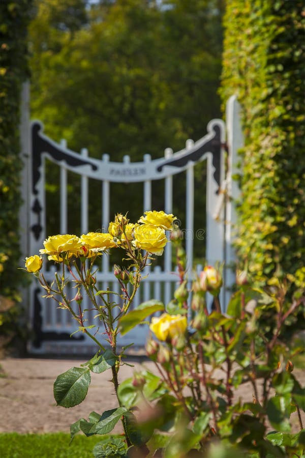 Rose garden gate stock photo. Image of location, entrance - 12947874