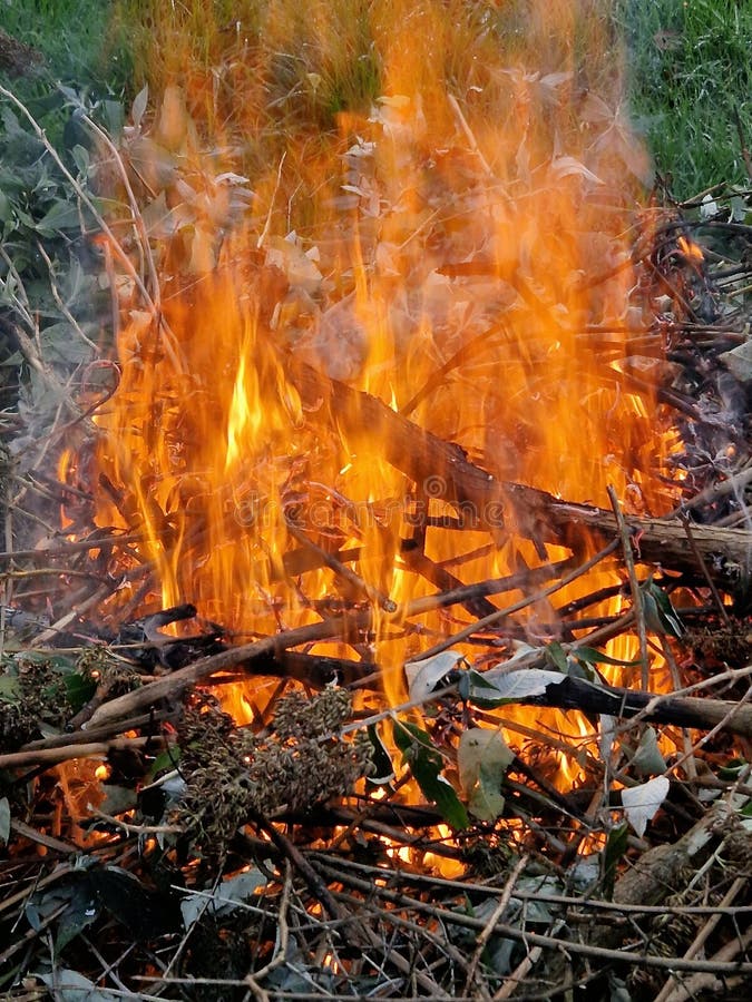 Garden rubbish fire stock photo. Image of flamrs, garden - 290609272