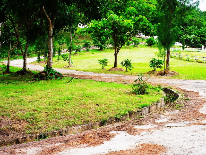 A garden stock photo. Image of shrubs, lawn, trench, landscape - 49548624