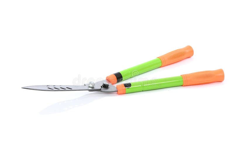 Garden Scissors for Cutting Stock Photo - Image of scissor, pruning ...