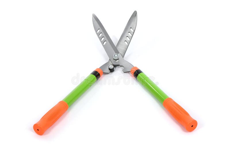 Garden Scissors for Cutting Stock Image - Image of metal, branch: 149808023