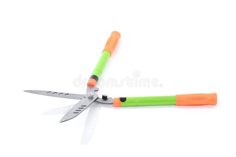 Garden Scissors for Cutting Stock Image - Image of plant, cutter: 151858119