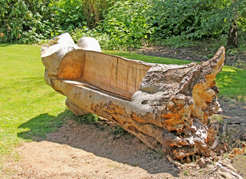 Fallen Tree. stock image. Image of forest, logs, tree - 31681881