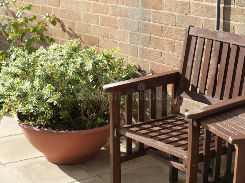 Garden seat with plant stock photo. Image of slats, leaves - 16133270