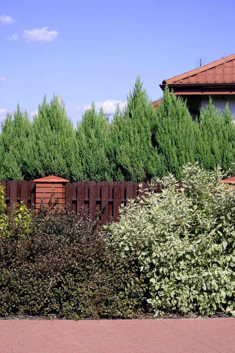 53,914 Light Garden Setting Stock Photos - Free & Royalty-Free Stock ...