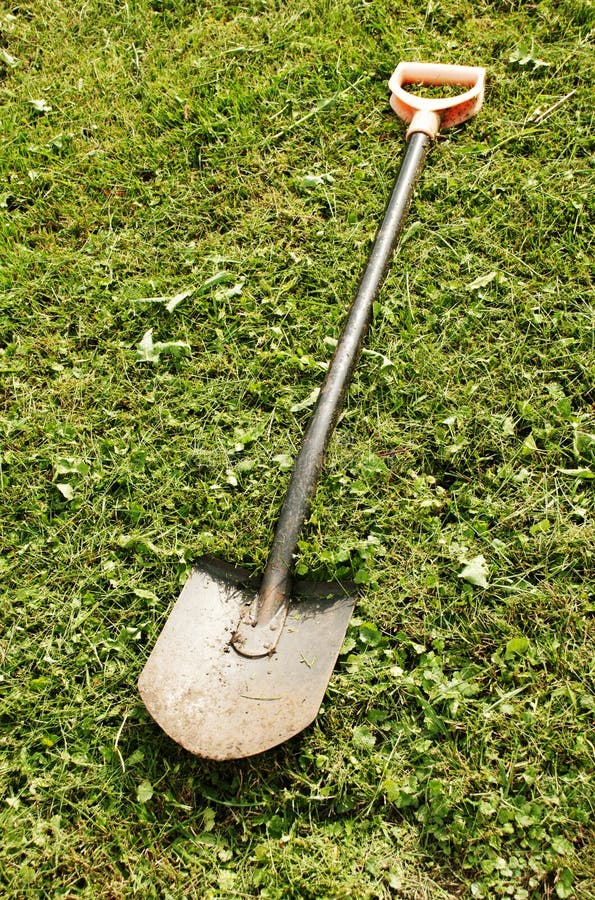 Garden shovel stock image. Image of plant, equipment - 26131083