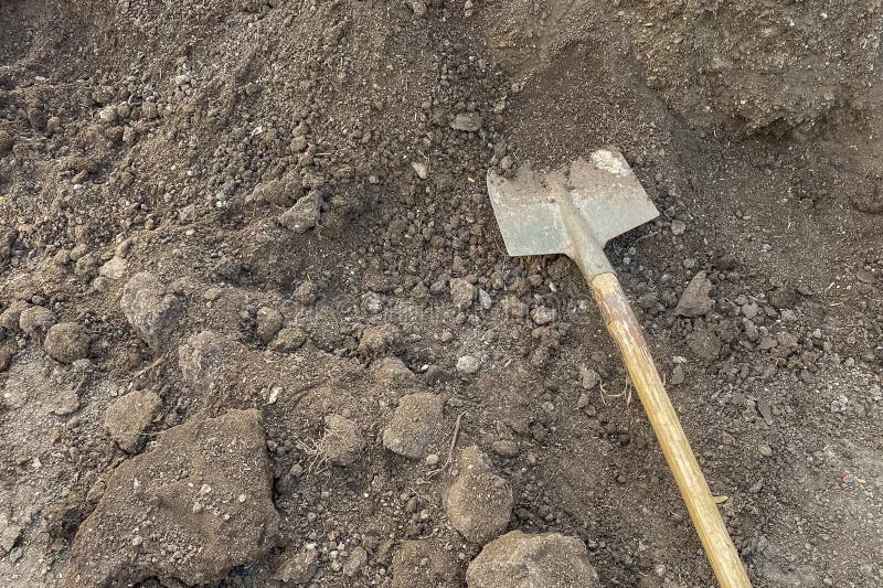 Garden Shovel in the Ground. Gardening Concept. Selective Focus Stock ...