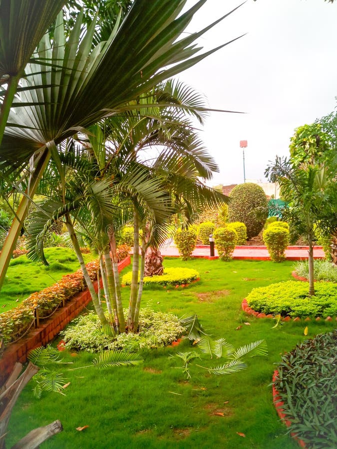 Garden Beauty stock photo. Image of peace, garden, trees - 57926654