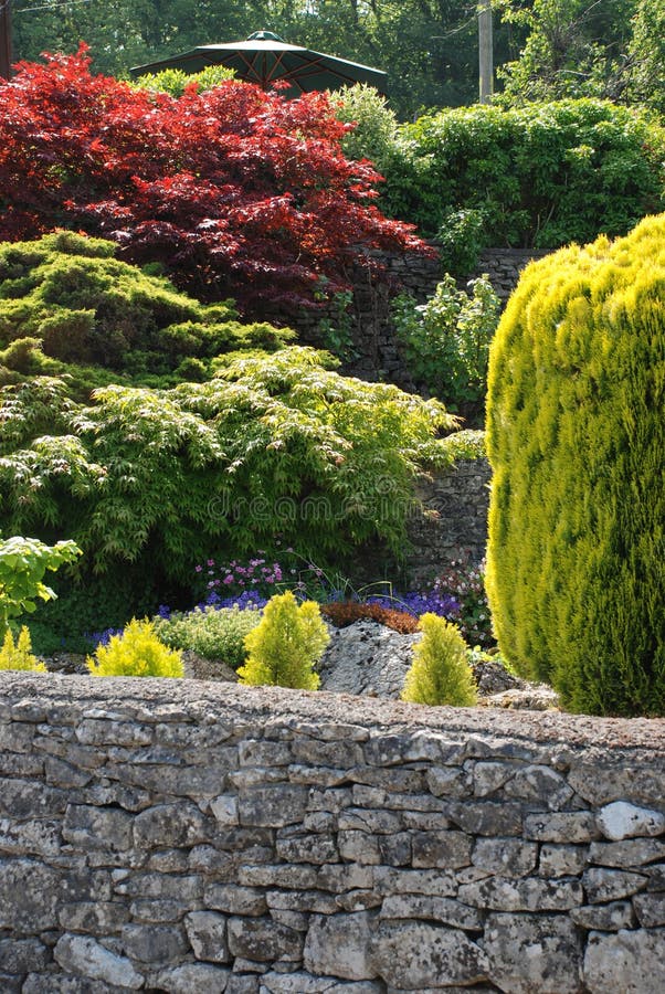 Garden shrubs stock image. Image of plant, wall, bush - 2703163