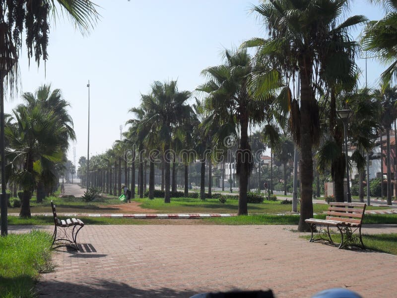 Garden sidi rahhal morocco stock image. Image of garden - 127132705