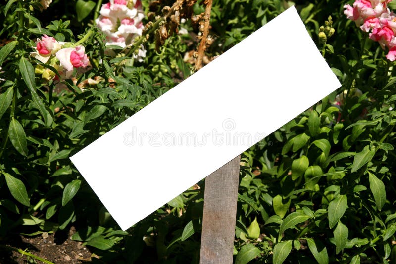 Garden sign empty stock photo. Image of green, oblique - 1507304
