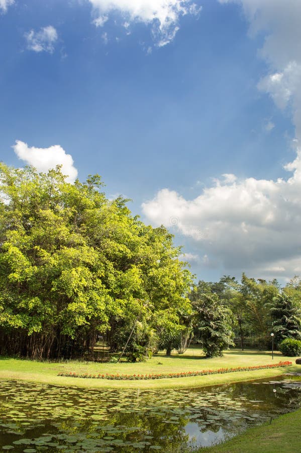 Lancap Stock Photos - Free & Royalty-Free Stock Photos from Dreamstime